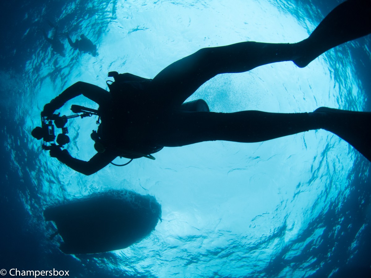 Snell Windows with your compact camera | Interceptor121 Photography ...