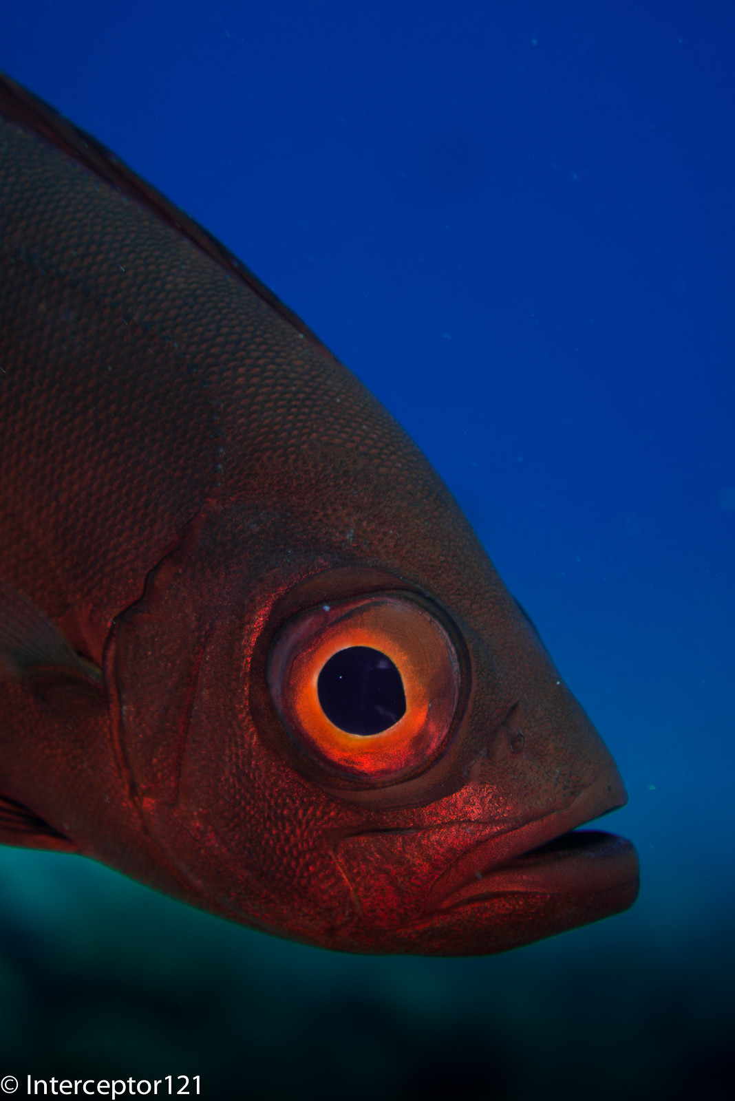 CREATIVE strobe filters for wide angle | Interceptor121 Photography ...