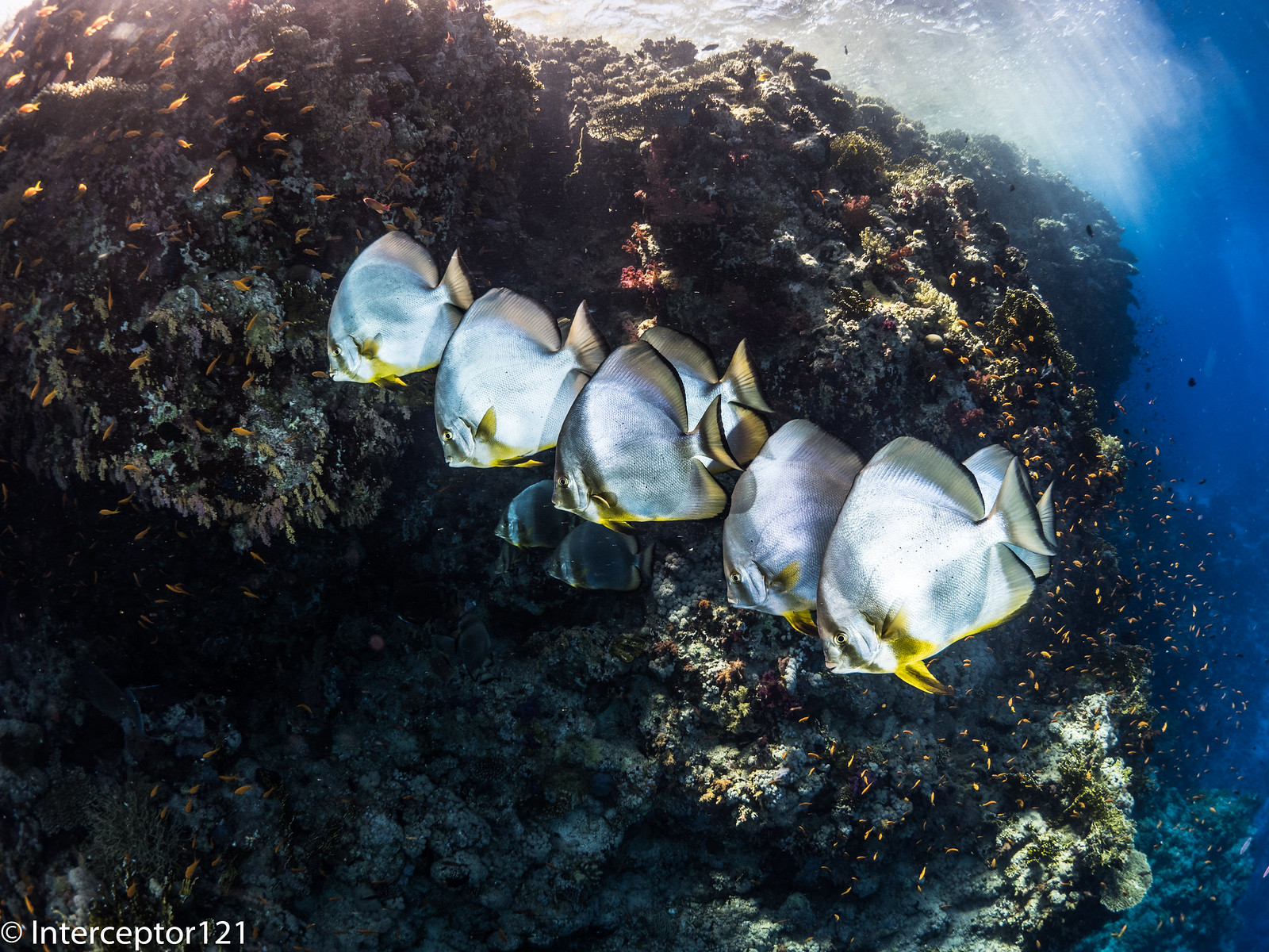 CREATIVE strobe filters for wide angle | Interceptor121 Photography ...