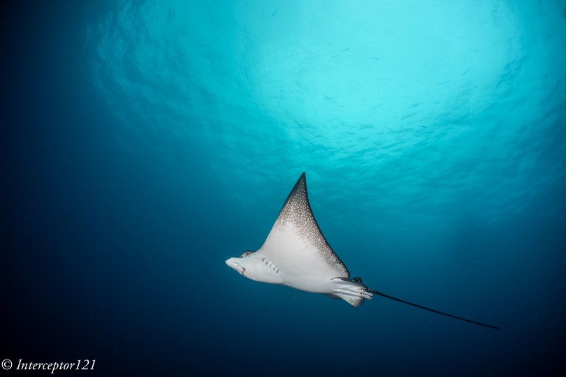 Fly high | Interceptor121 Photography & Video Workshops